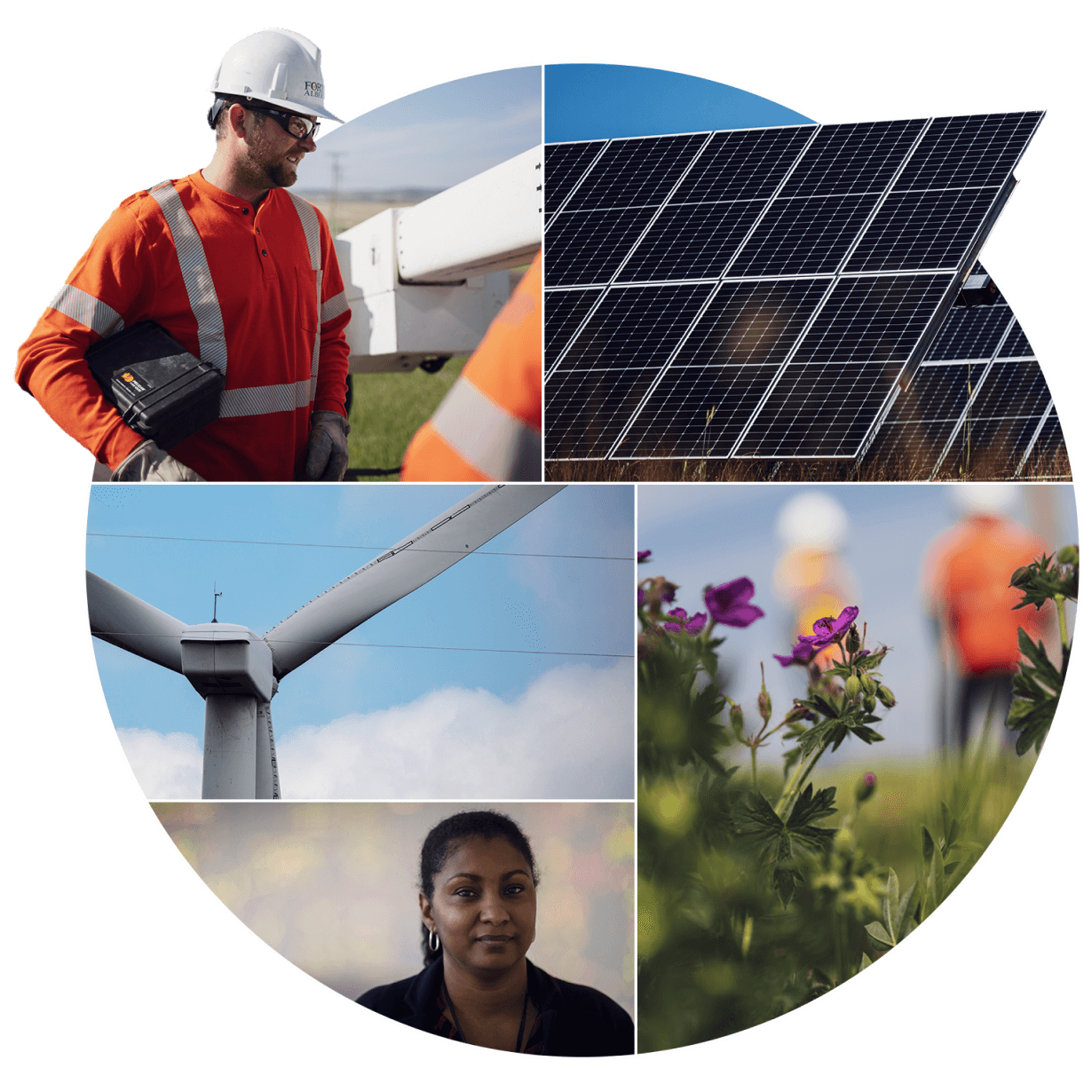 Financial and Regulatory Reports | Fortis Inc.